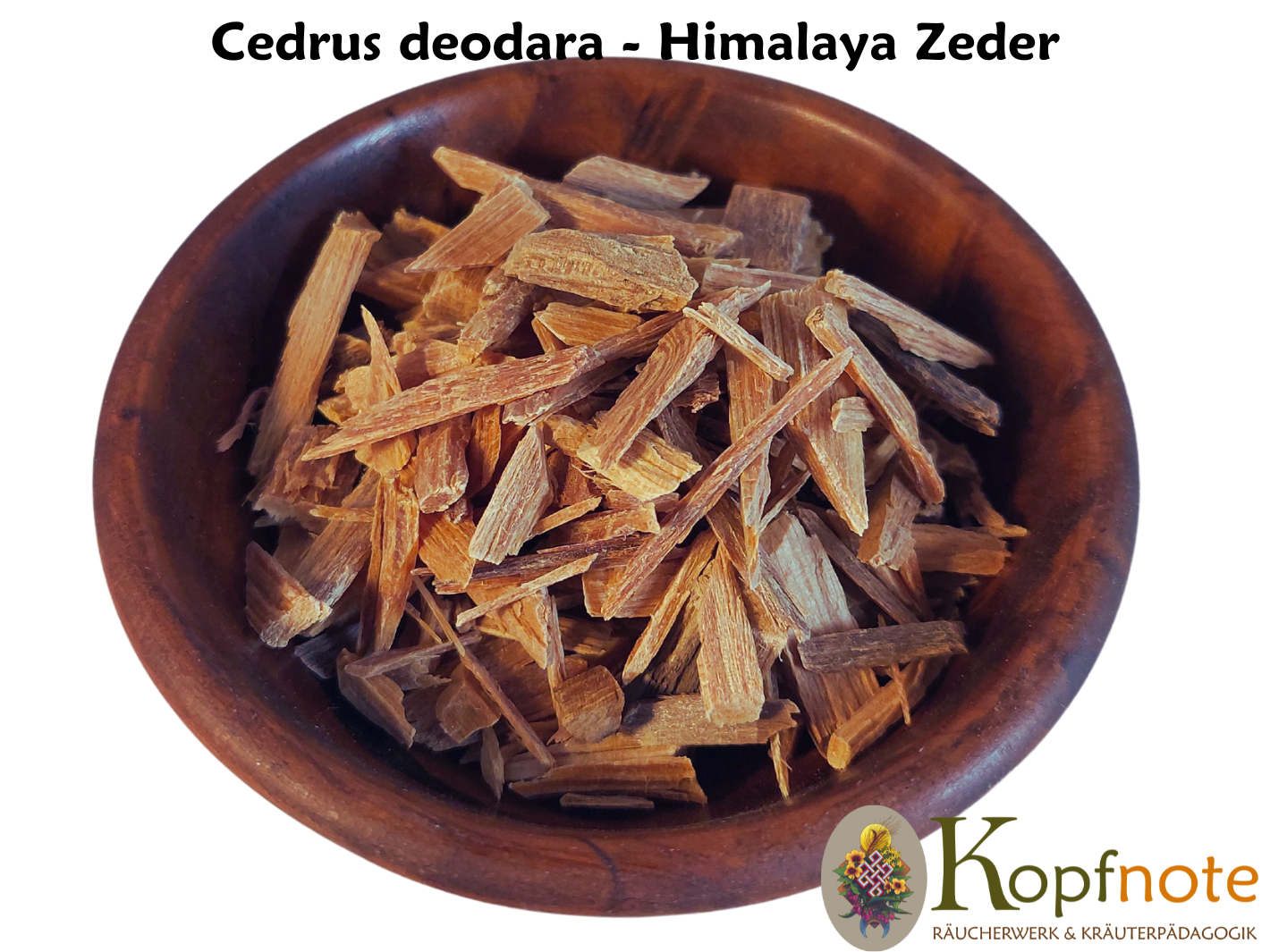 Himalaya-Zeder - Cedrus deodara | Kopfnote