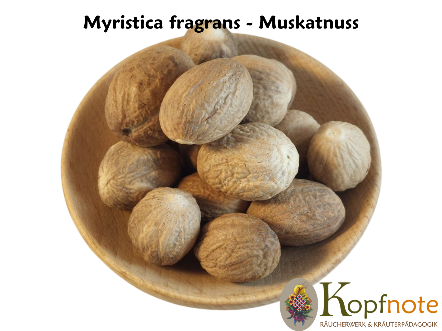 Muskatnuss - Myristica fragrans | Kopfnote